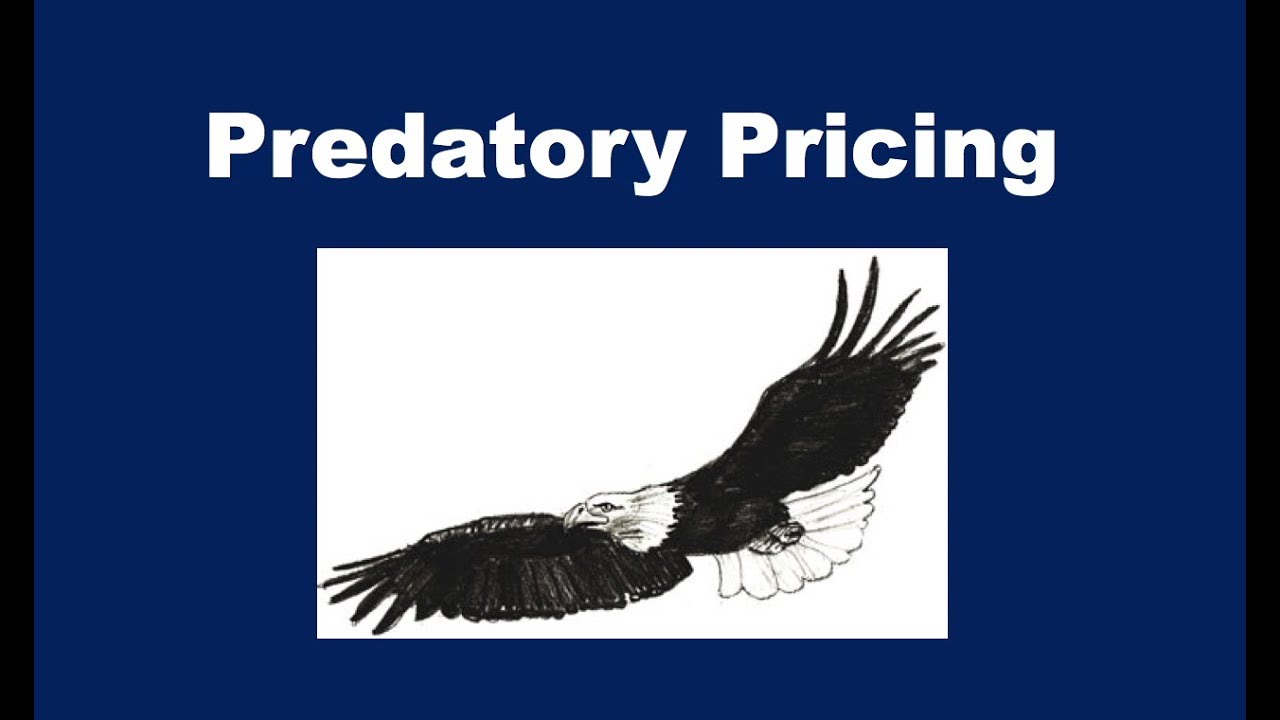 An Overview To Predatory Pricing