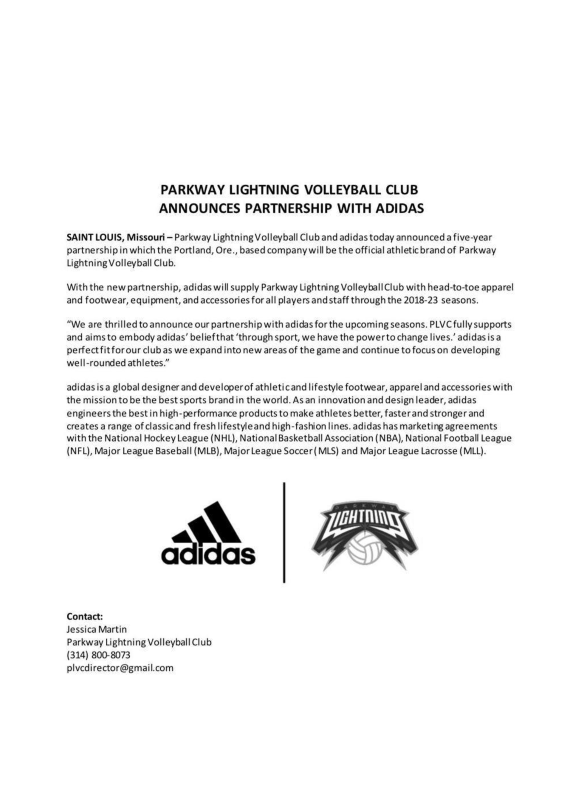 5 Types Of Press Release Sample PDF Template