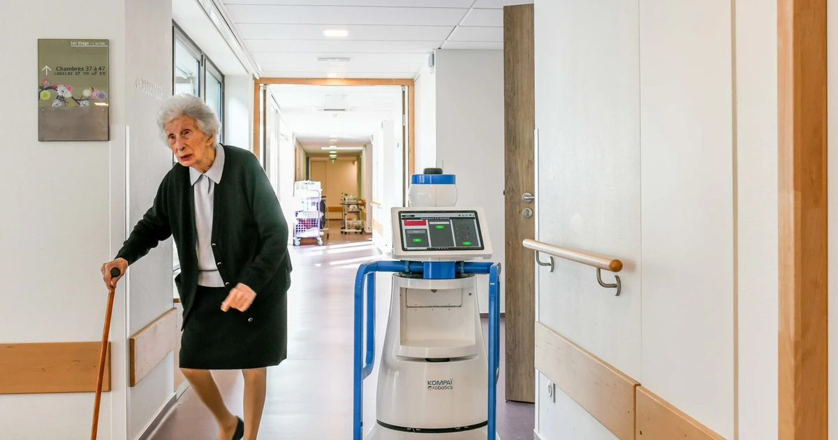 Kompai: Robots For Healthcare