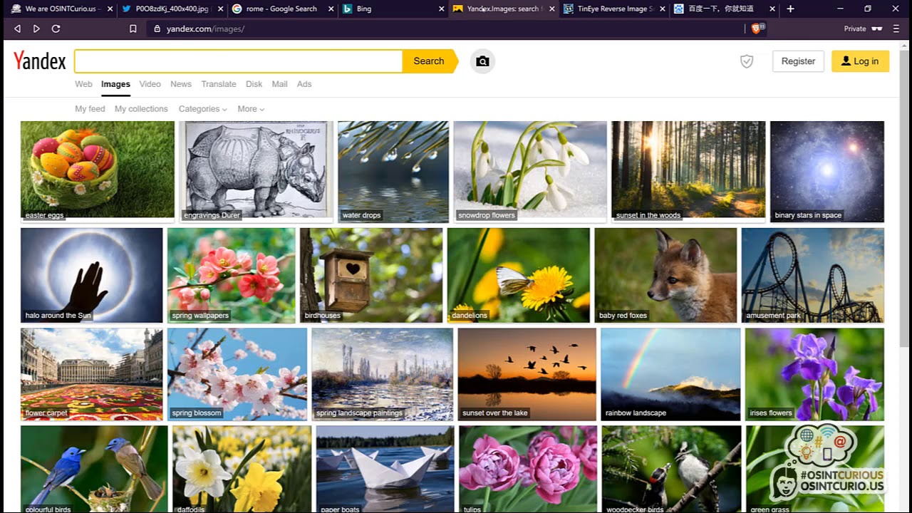 Reverse Image Search - Everything You Need To Know