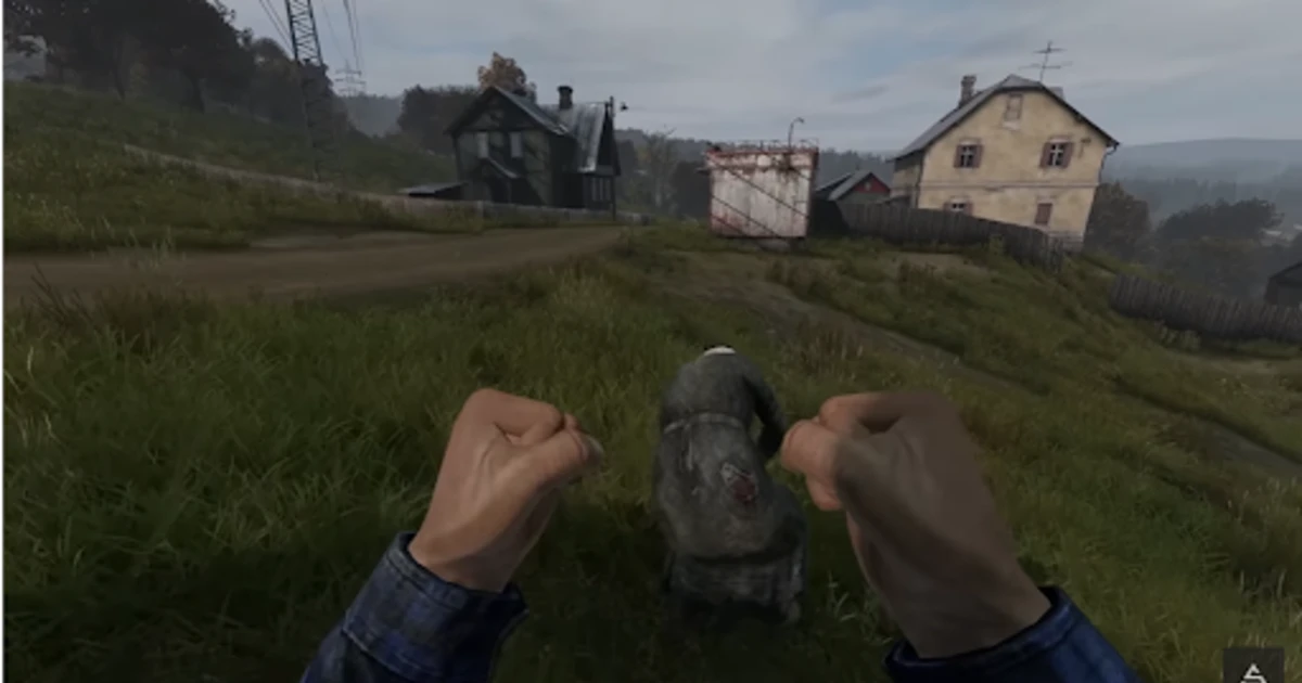 DayZ Beginner Guide For Multiplayer