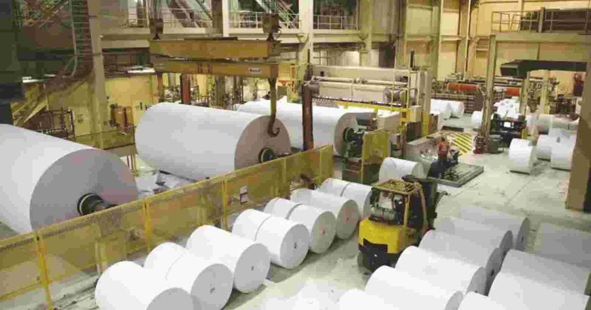 Is Paper A Good Career Path?