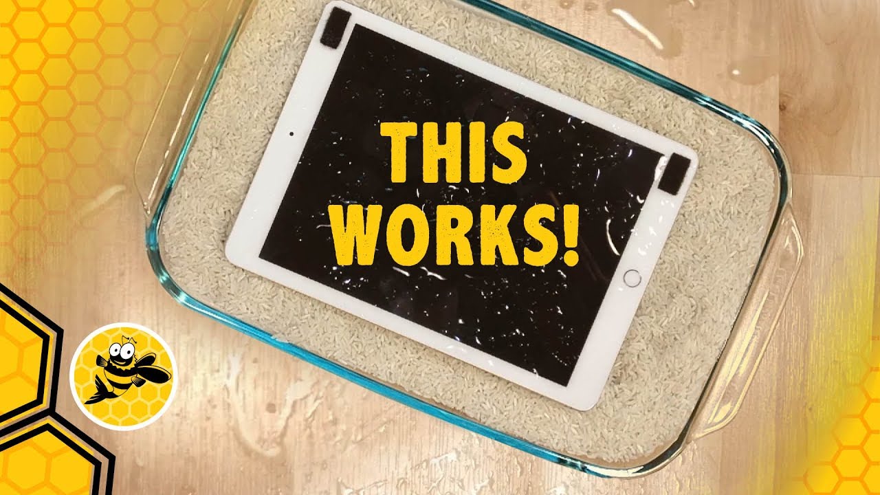 Ipad Fell In Water? Here's Best Way To Fix And Save It